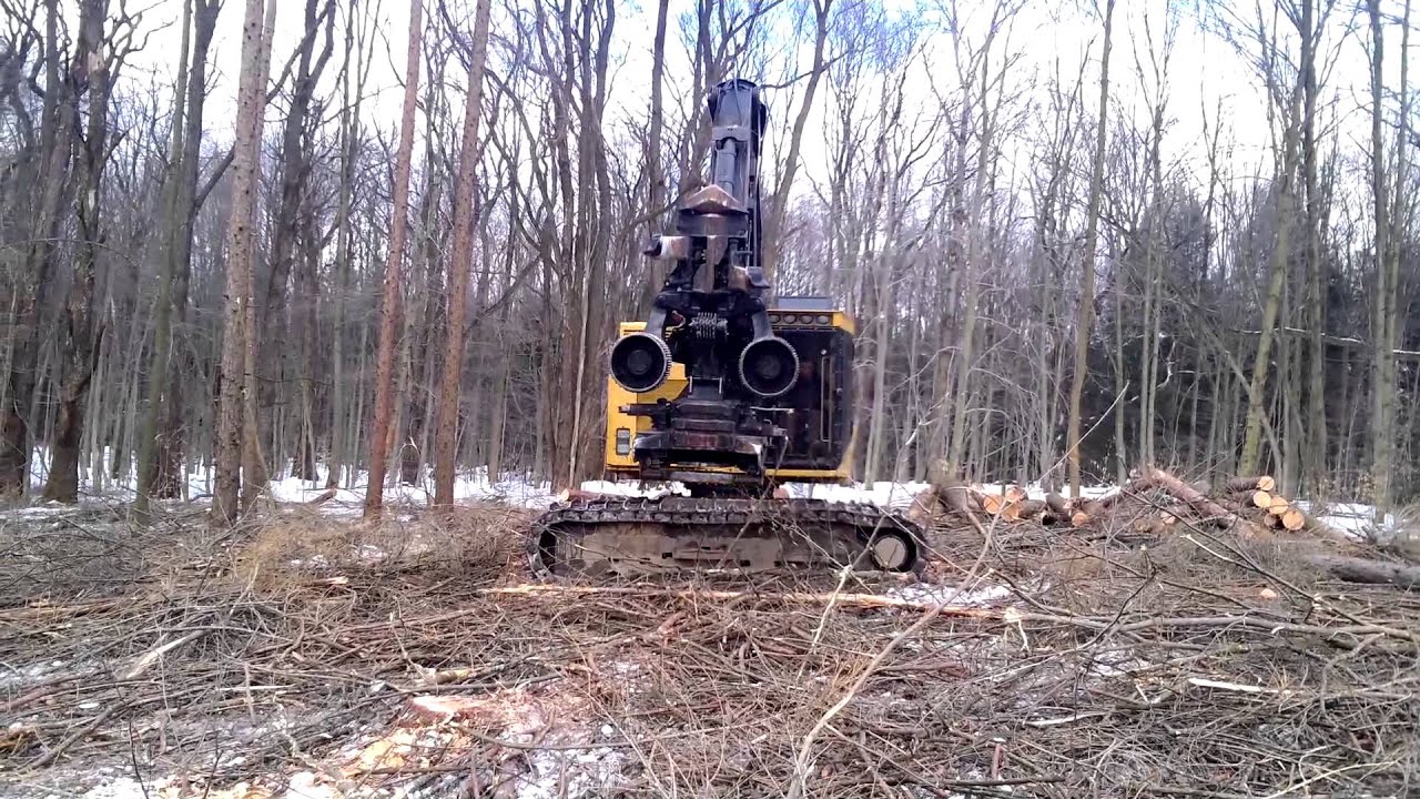 06 TIGERCAT 822 FELLER BUNCHER WITH REBUILT ROLLY 2 ROTOSAW BOTTOM HEAD ...