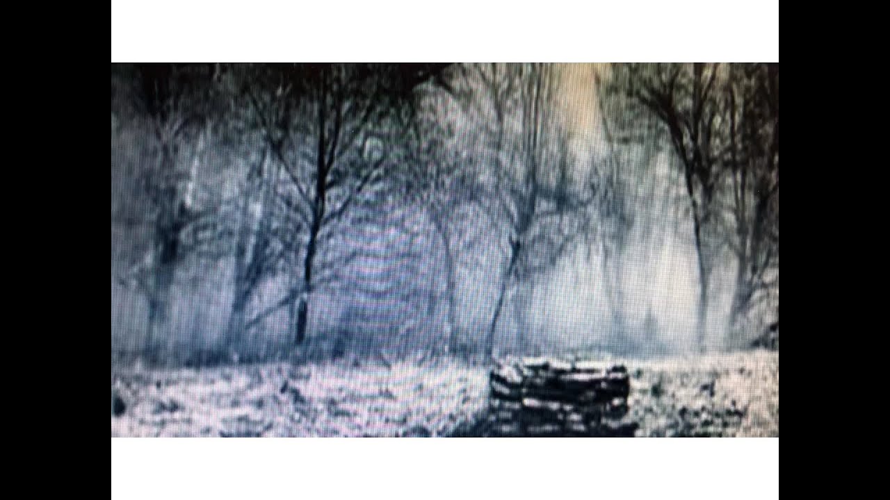 The New York Palm Trees - Cursed (Left In Hell) - YouTube