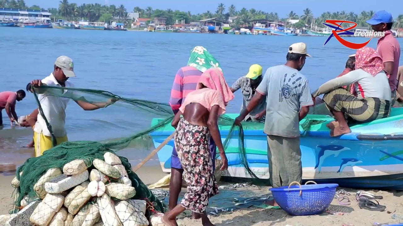 Lagoon & Fishing@Negombo (Documentary film) - YouTube
