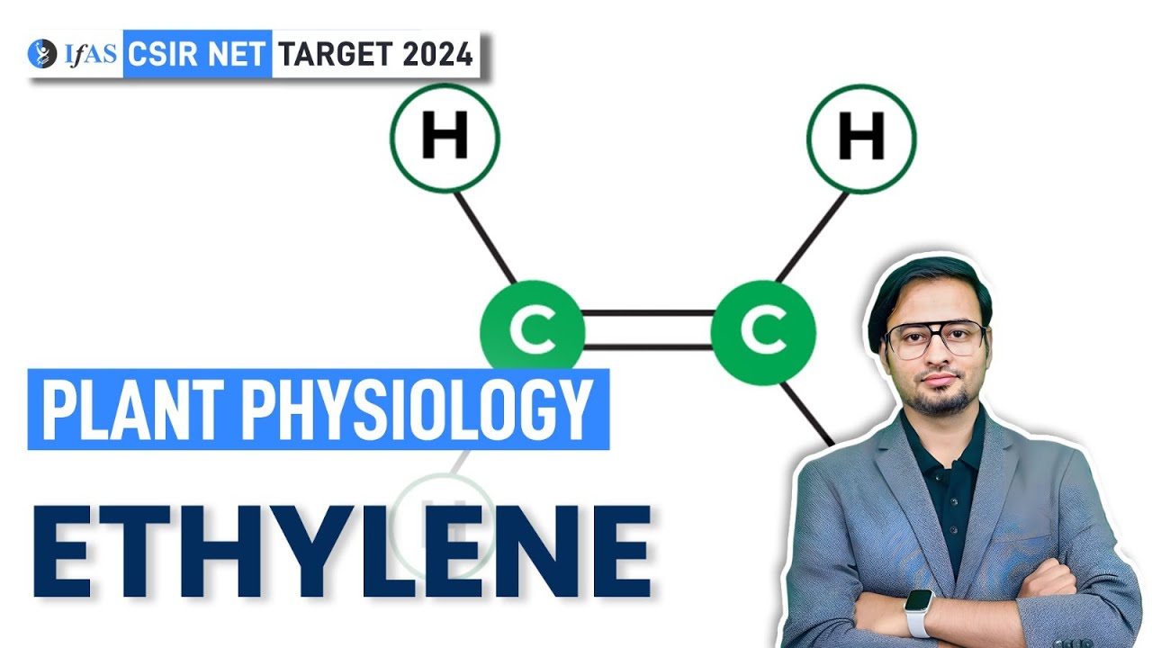 Ethylene | Plant Physiology | CSIR NET JUNE 2024 I IFAS - YouTube