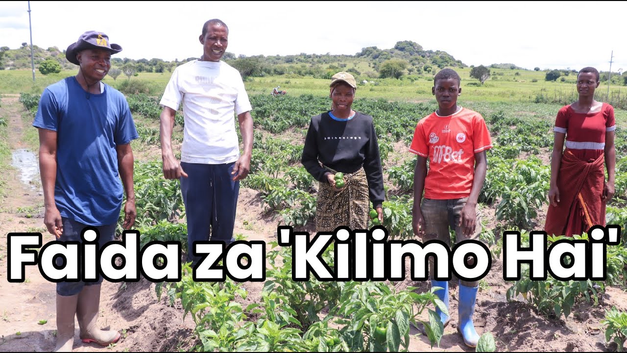 BMG TV: Shirika la Mikono Yetu lasimamia vyema mradi wa Kilimo Hai ...