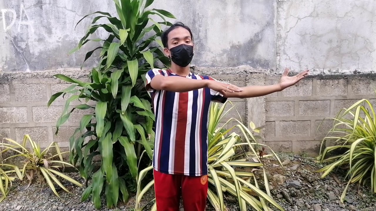 ALAY - DANCE STEPS AND TERMS - YouTube