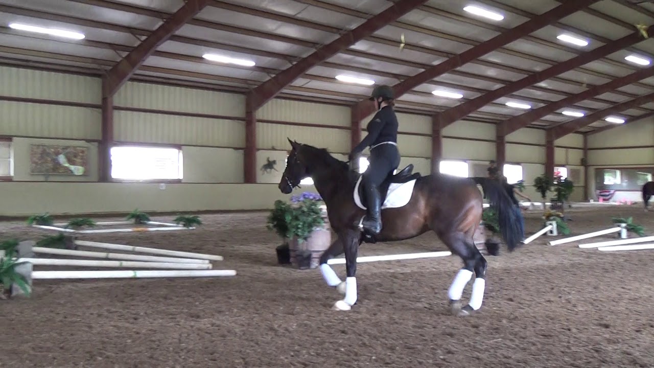 Cavaletti Class - P - YouTube