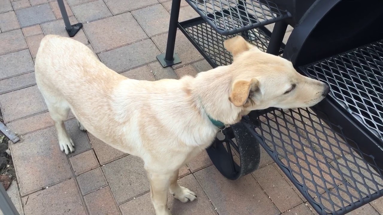 Mick Cotton’s New Yoder Cheyenne - YouTube