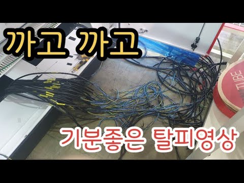 케이블 피복탈피 4SQ 6SQ 작업요령 공개 cable VCTF 4C 모터케이블 - YouTube