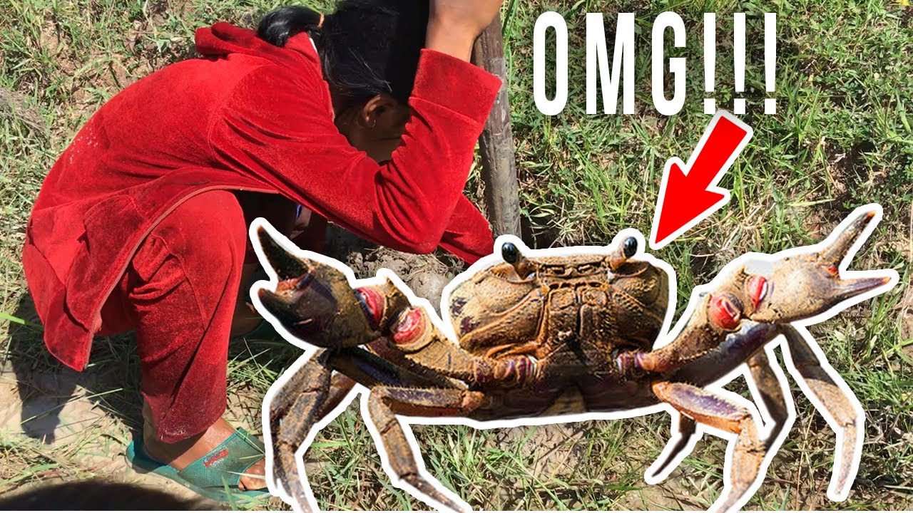 Amazing Girl & Her Brother Digging the Land Find Big Crab Smart Girl ...