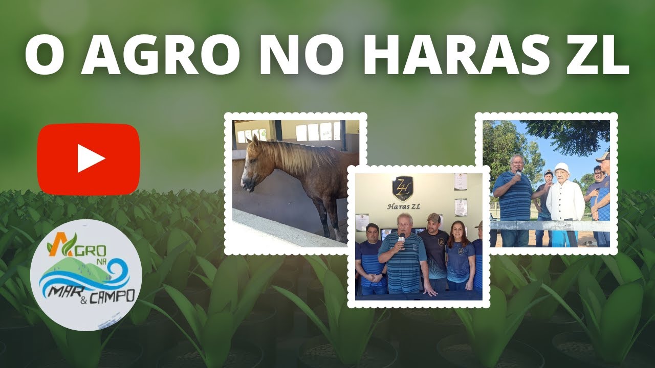 O AGRO NO HARAS ZL | AGRO NA MAR E CAMPO #15 (Reprise) - YouTube