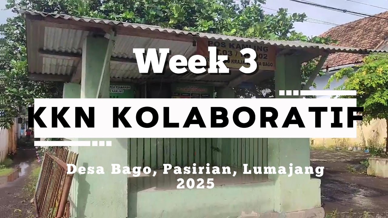 WEEK 3 RECAP - KKN KOLABORATIF DESA BAGO, PASIRIAN, LUMAJANG, JAWA TIMUR 2025 - YouTube