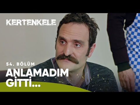 Ziya'nın çözemediği sorunu! | Kertenkele 54. Bölüm 🦎