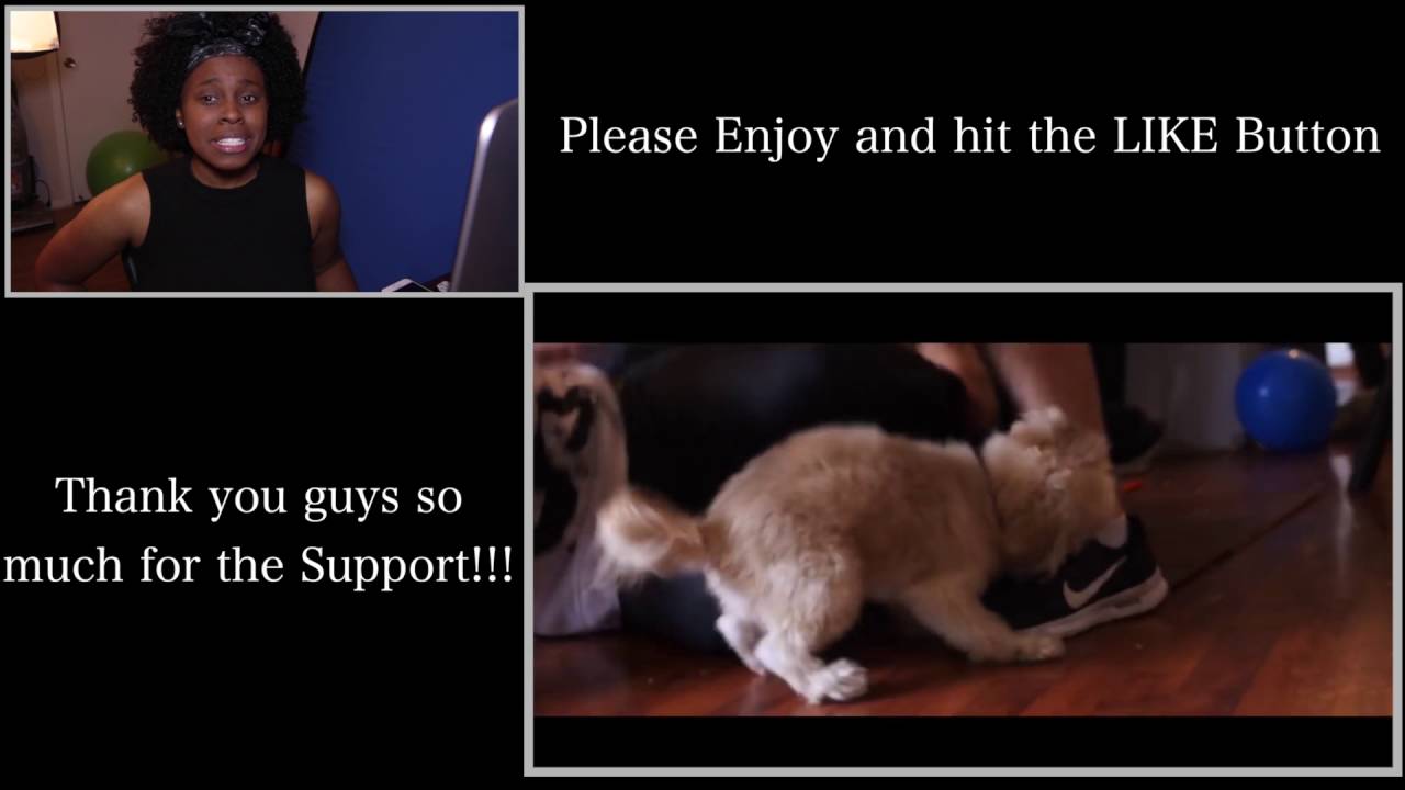 [Every WrestleMania Ever!!! Racka Racka] Reaction - YouTube