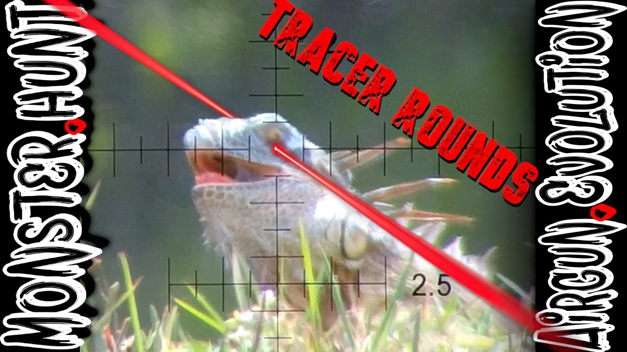 EPIC Slow Motion TRACER ROUNDS | Iguana Dinosaur Hunting | Airgun ...