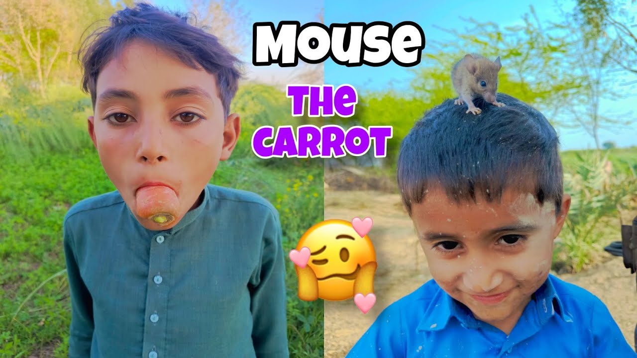 Mouse The Carrot 🥕 🐁 - YouTube