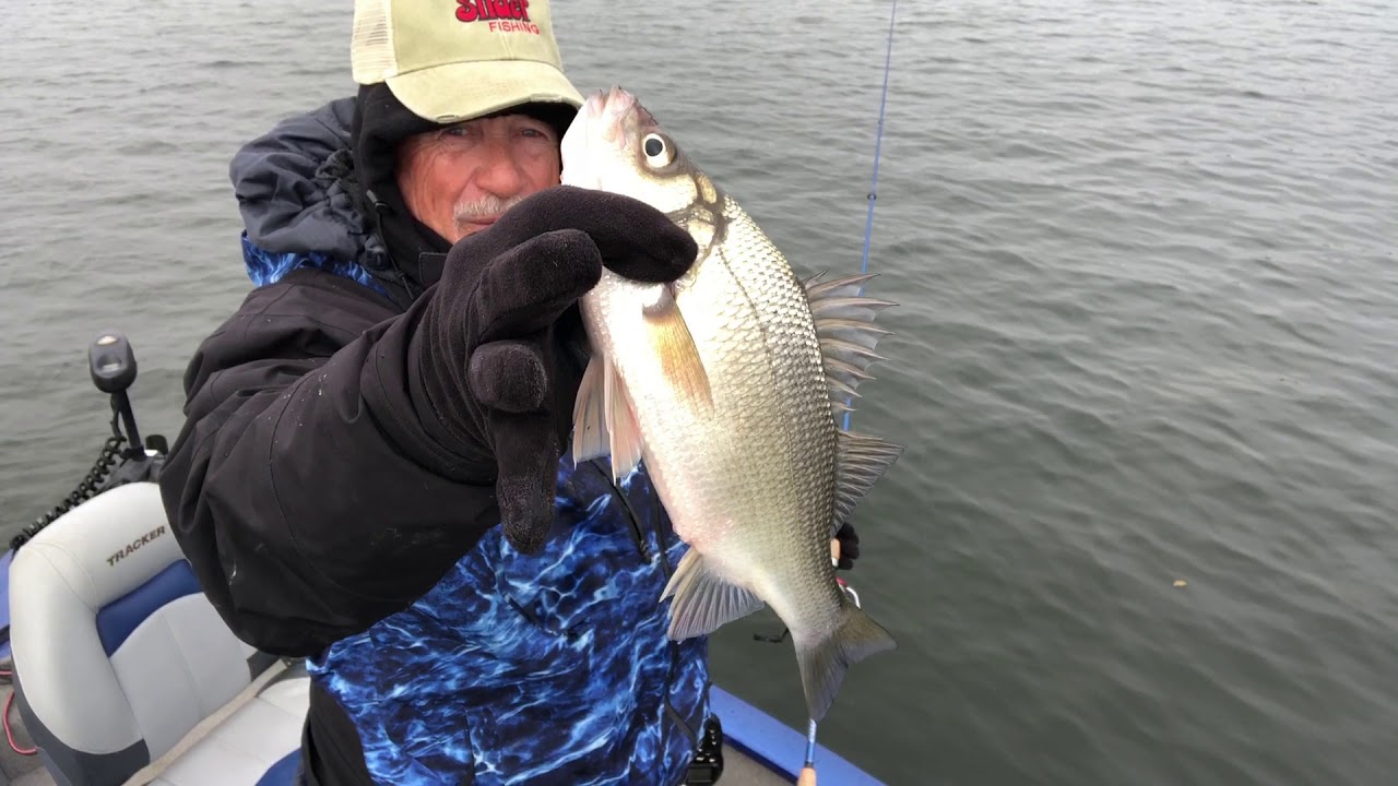 How To Fine Tune & Adjust To Catch Deep Water Fish - YouTube