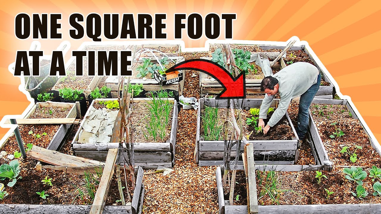 Square Foot Gardening 101 - 8 Steps To Make Gardening In Raised Beds ...