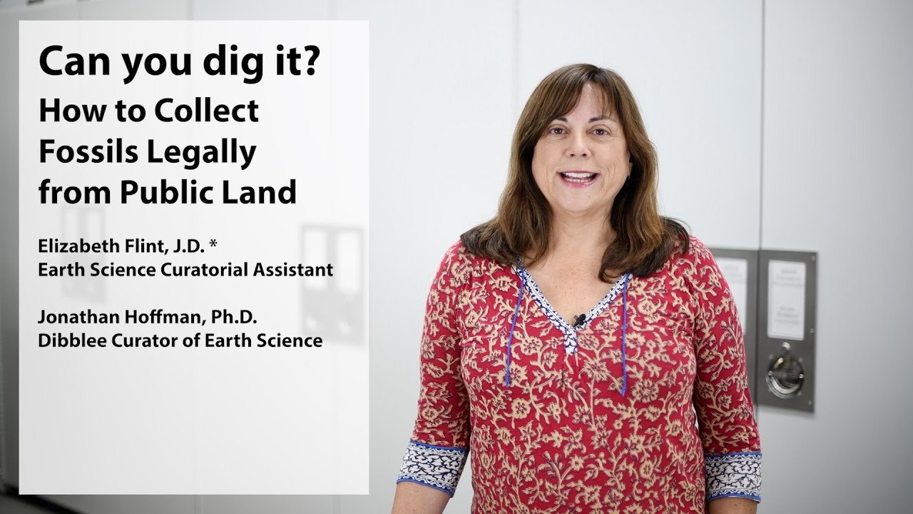 Can You Dig It? How to Collect Fossils Legally from Public Land - YouTube