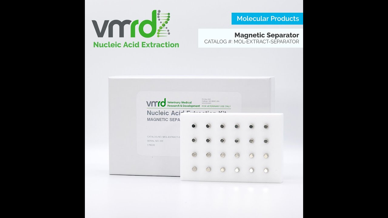VMRD Nucleic Acid Extraction Magnetic Separator in Action! - YouTube