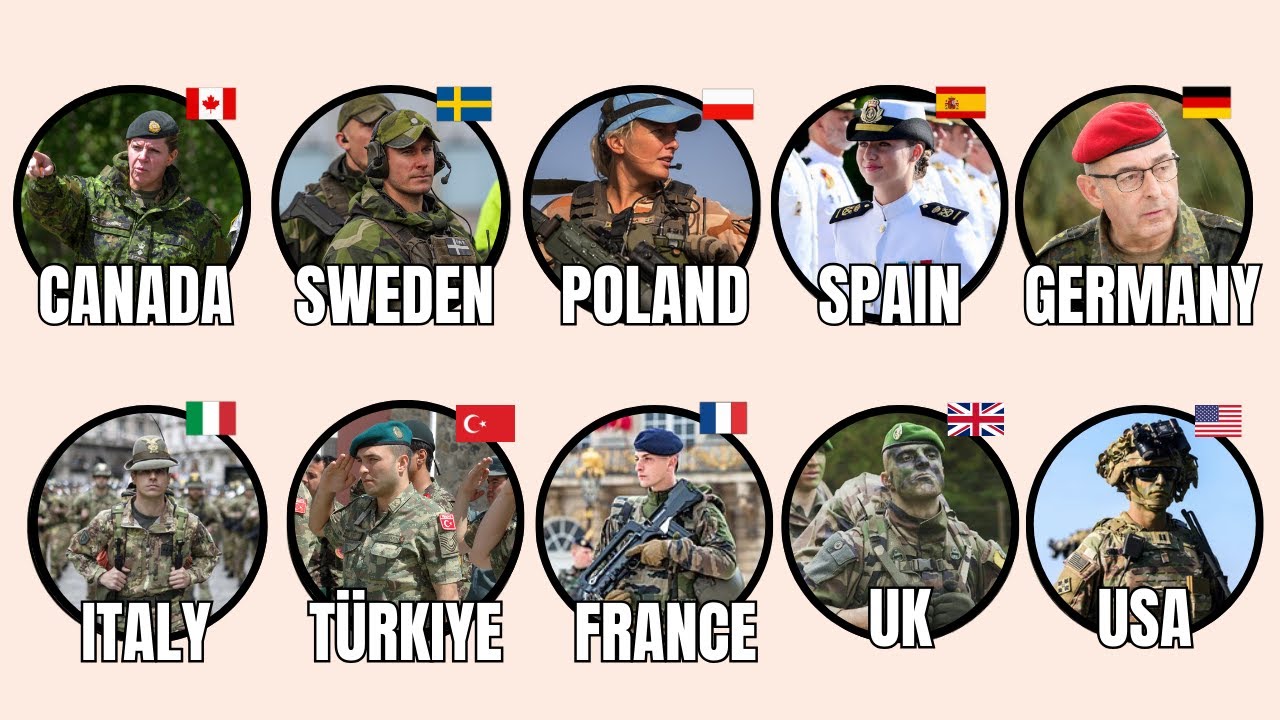 What Every NATO Member Actually Provides Explained In Detail. - YouTube