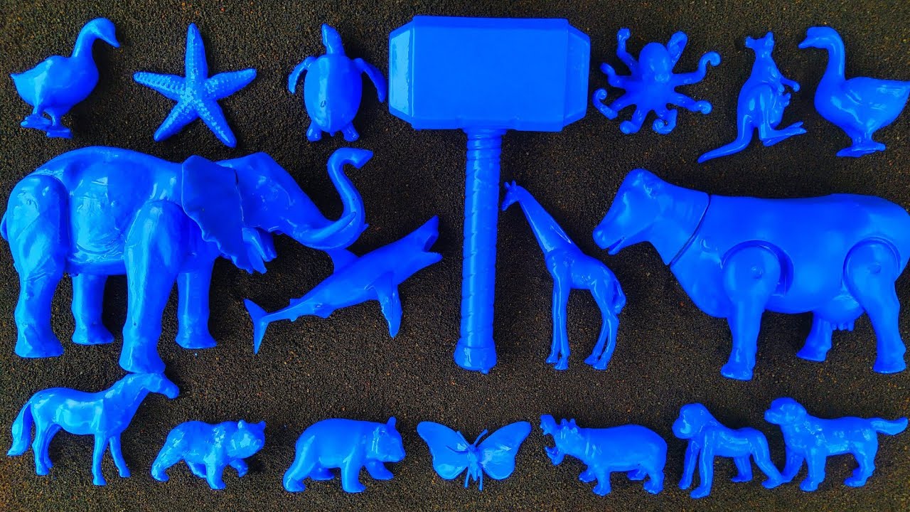 Hunting Found Animals Starfish|Hippopotamus|Octopus|Turtle|Shark ...