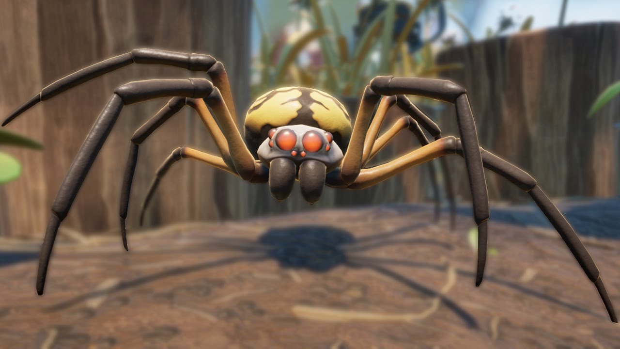 These Wolf Spiders Are Tearing Us Apart | Grounded - Part 2 - YouTube