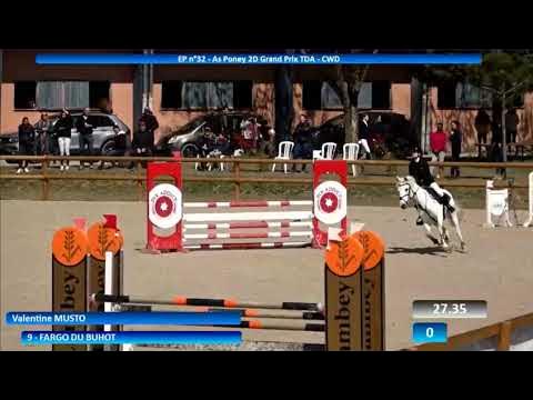 FARGO DU BUHOT - TDA AS PONEY 2 - CENTRE HIPPIQUE DES ALPES - AVRIL 2023 - YouTube
