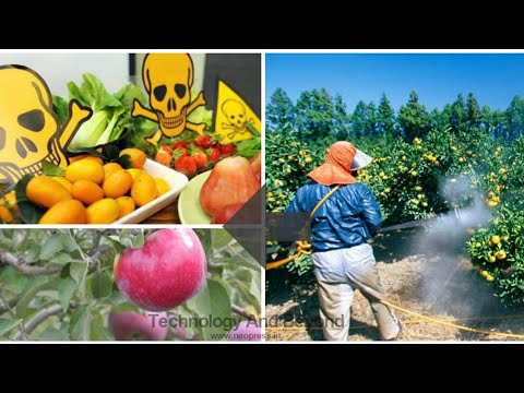 Chemical vegetable / NEXT - IN - YouTube