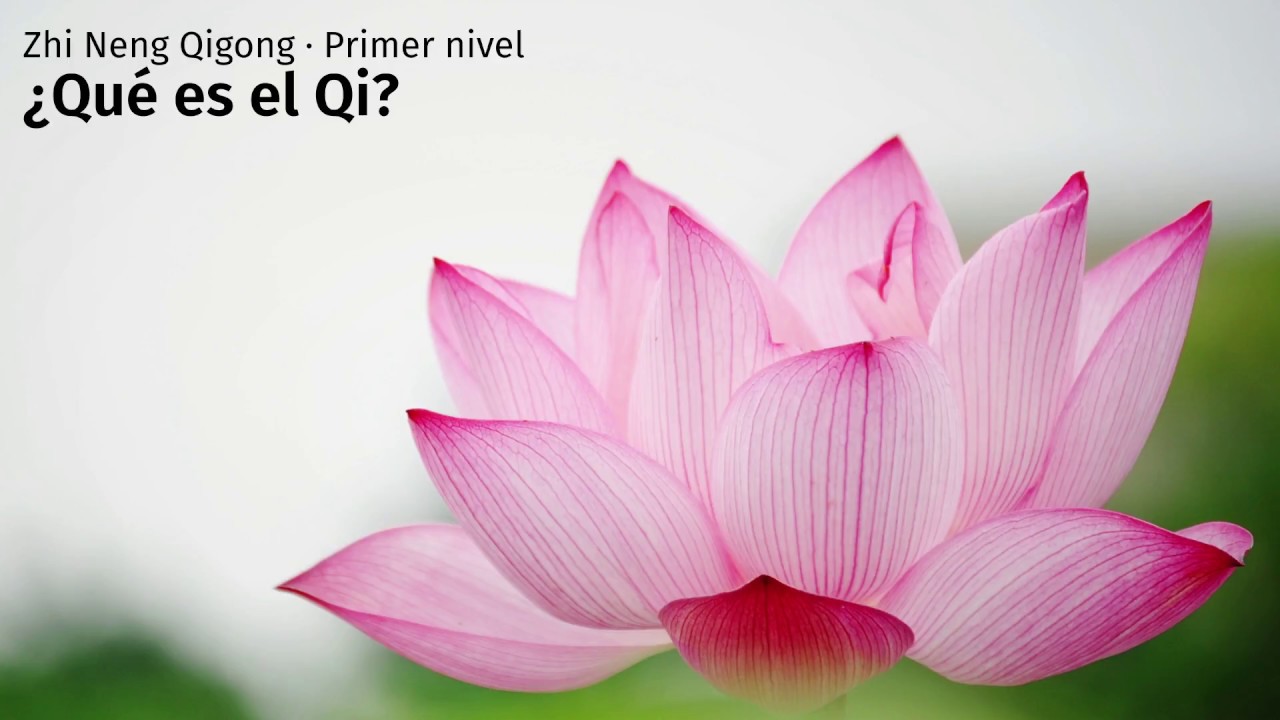 Zhi Neng Qigong Nivel 1: Teoria - 01. Que es el Qi - YouTube