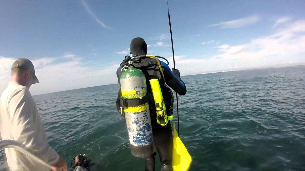 MMI Scuba Tigers - YouTube