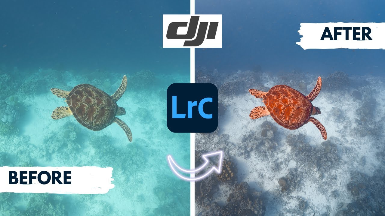 Underwater Photo Editing in Lightroom: Simple Steps for Stunning ...
