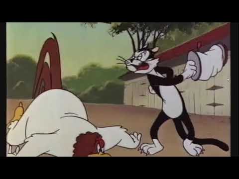 Gallo Claudio - Ay ya cállate - YouTube