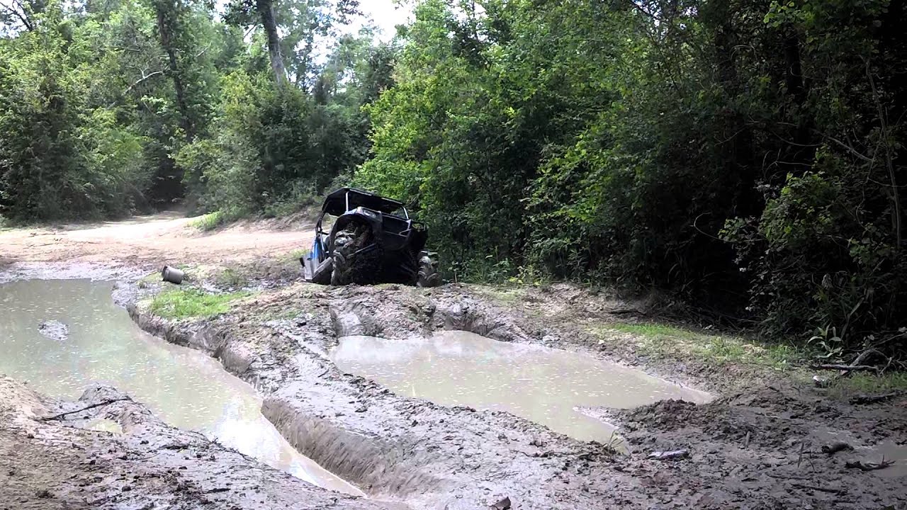 32 Silverbacks 2013 Rzr - YouTube