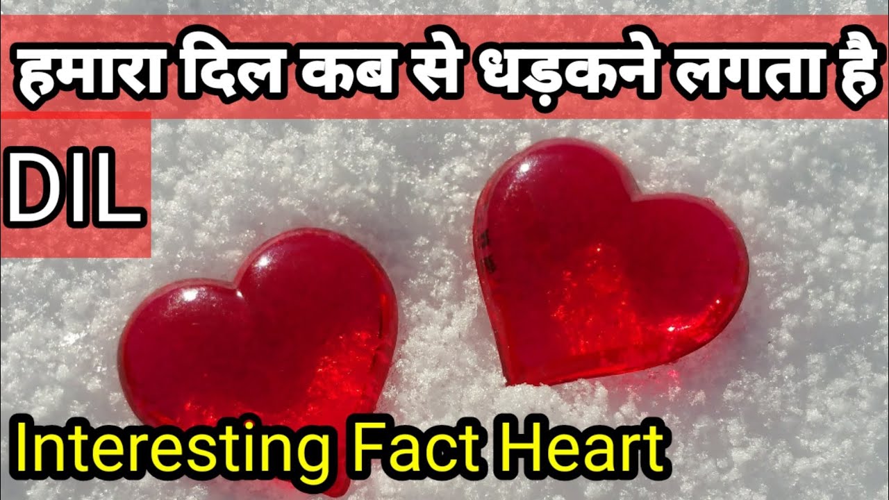 हमारा दिल कब से धड़कने लगता है | Ek minute mein dil kitni baar dhadakta ...