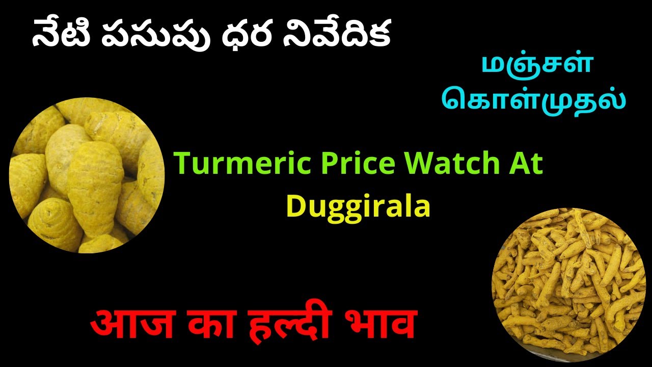 Turmeric Price At Duggirala Mandi | ஆந்திர மஞ்சள் விலை - YouTube