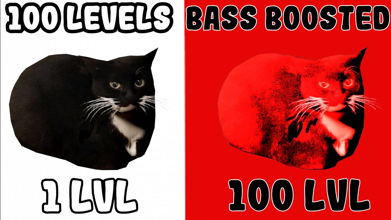 Maxwell The Cat 100 levels bass boosted - YouTube