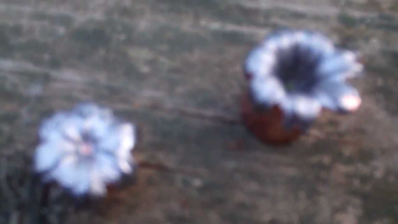 .45ACP & 9mm Speer Gold Dot Expansion Comparison. - YouTube