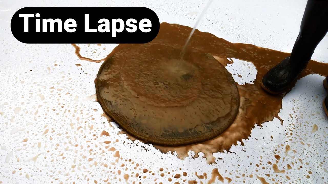 Time lapse of cleaning circle carpet with manual brushing - YouTube