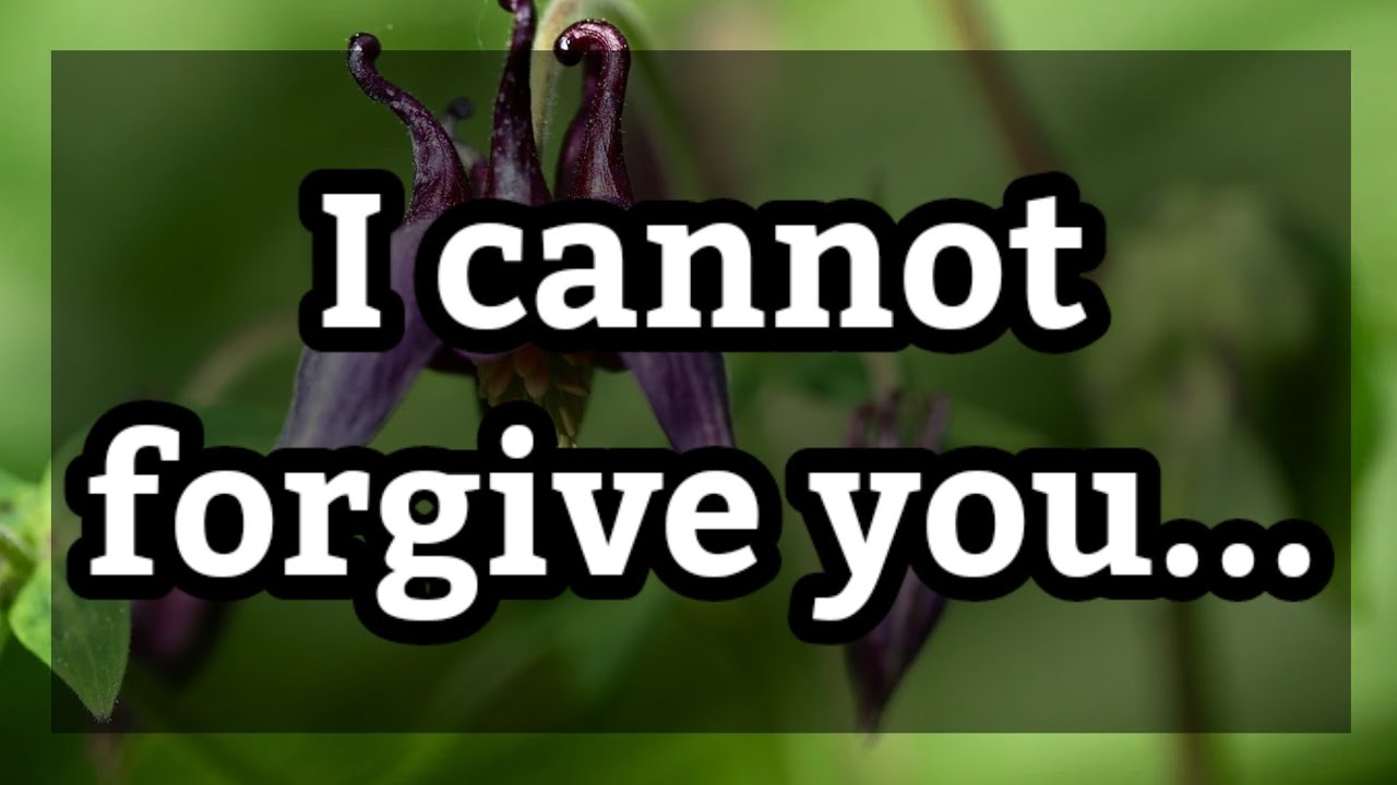DM to DF ️ Love Letters 💌🌹 // I cannot forgive you...😍😘 ️💌🌹🫂💐👑💝🥰 - YouTube