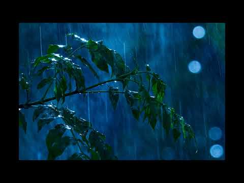 RAIN AND SOUND 2022 FOR SLEEP
