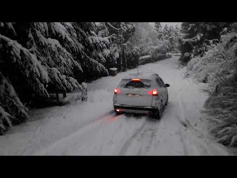 PEUGEOT 2008 THP  EN LA NIEVE (GRIP CONTROL)
