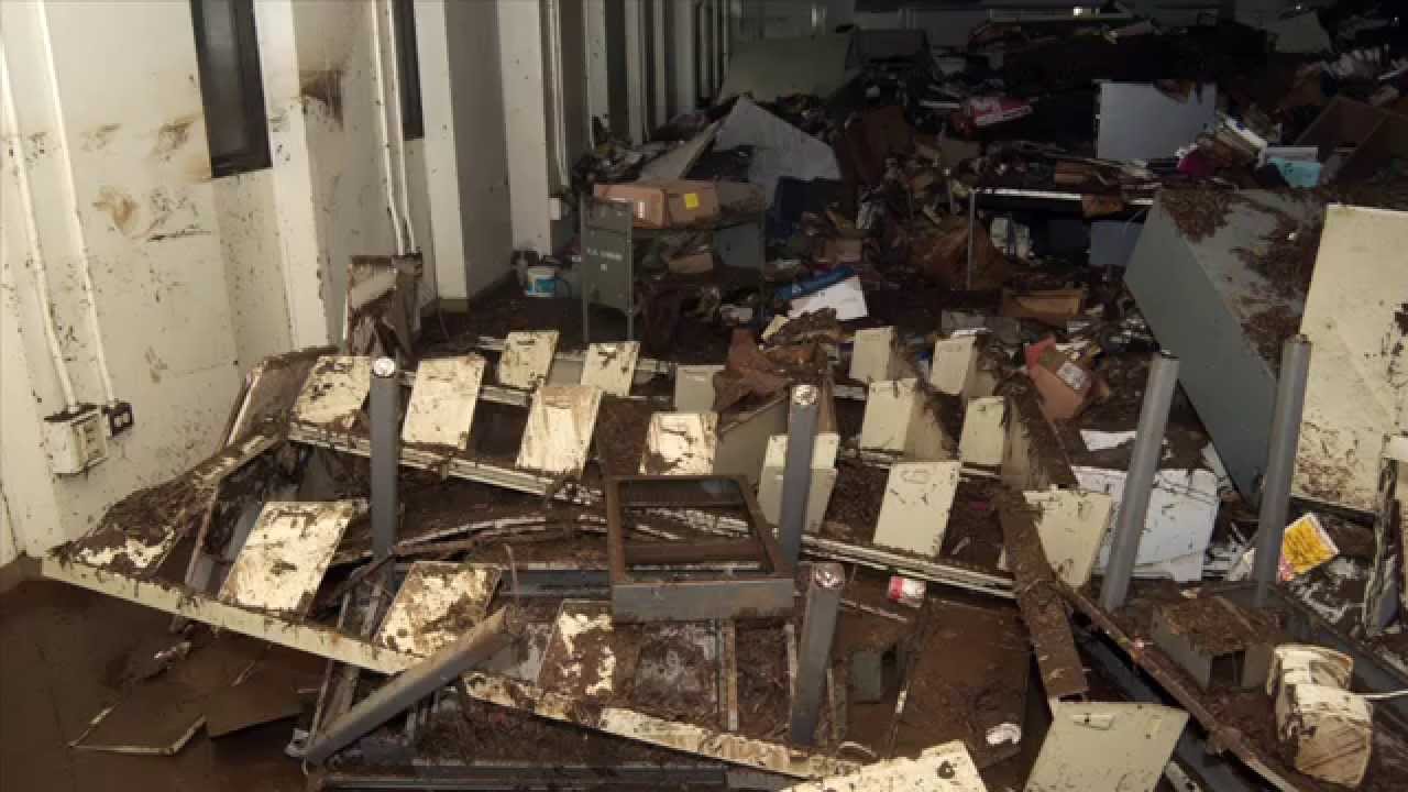 Hamilton Library thrives 10 years after devastating flood - YouTube