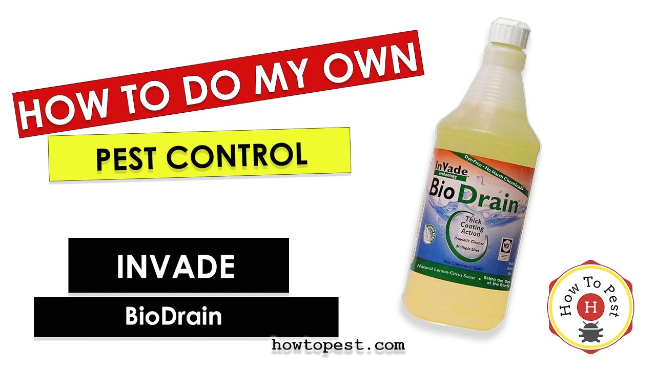 How to Clean Your Drains Naturally – InVade Bio Drain Gel (Eco-Friendly ...