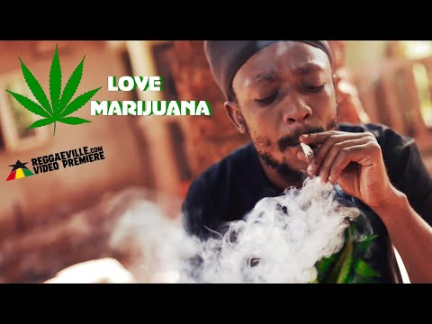 C.Wyne Nalukalala & Mungo's Hi Fi - Love Marijuana [Official Video 2022]