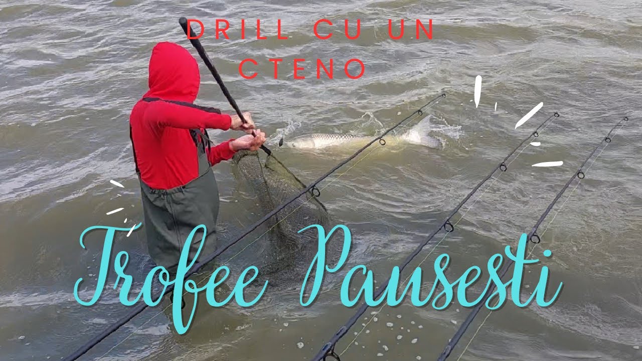 Concurs Trofee Pausesti ! Cantarit crapi si drill cu un cteno! ( I.G.W ...