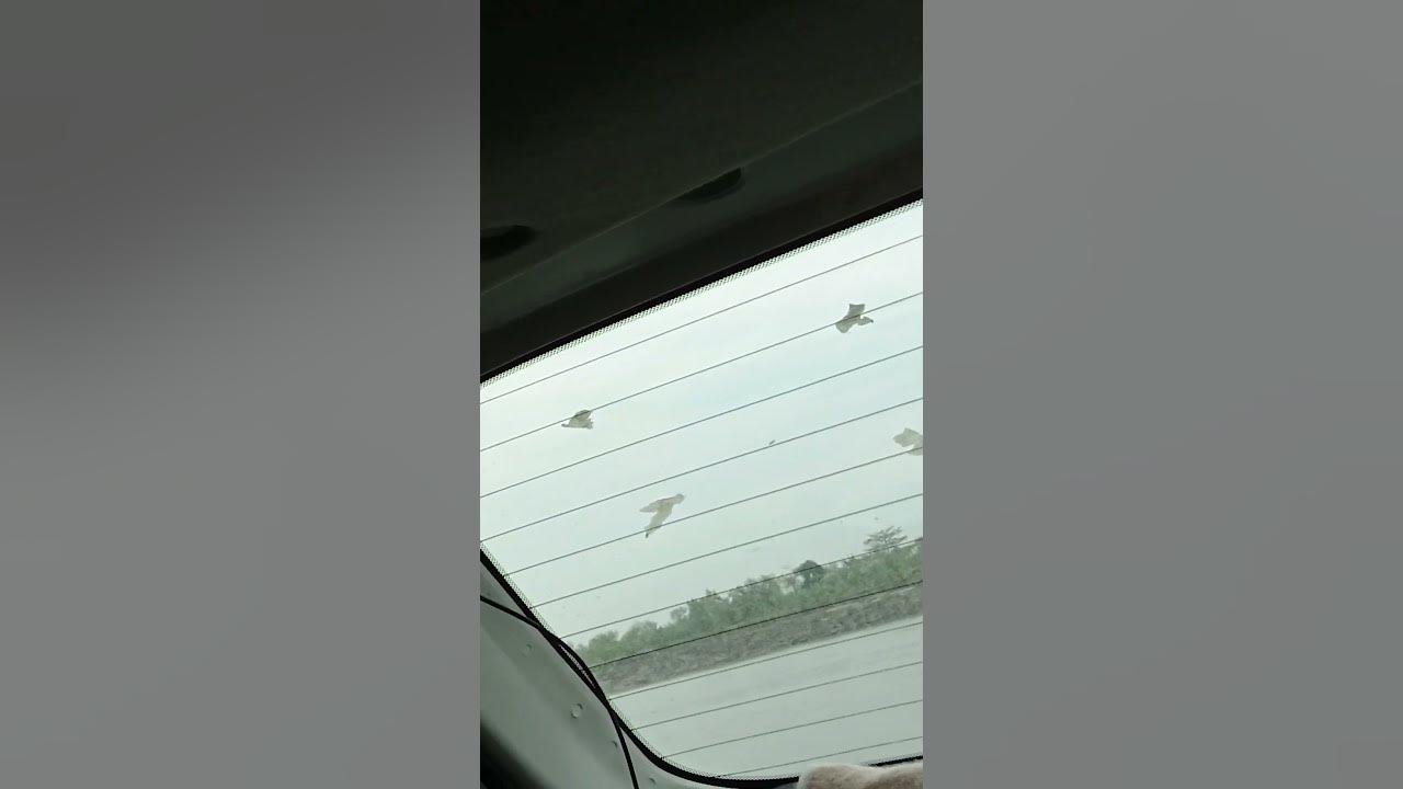 Way to Majuli - YouTube