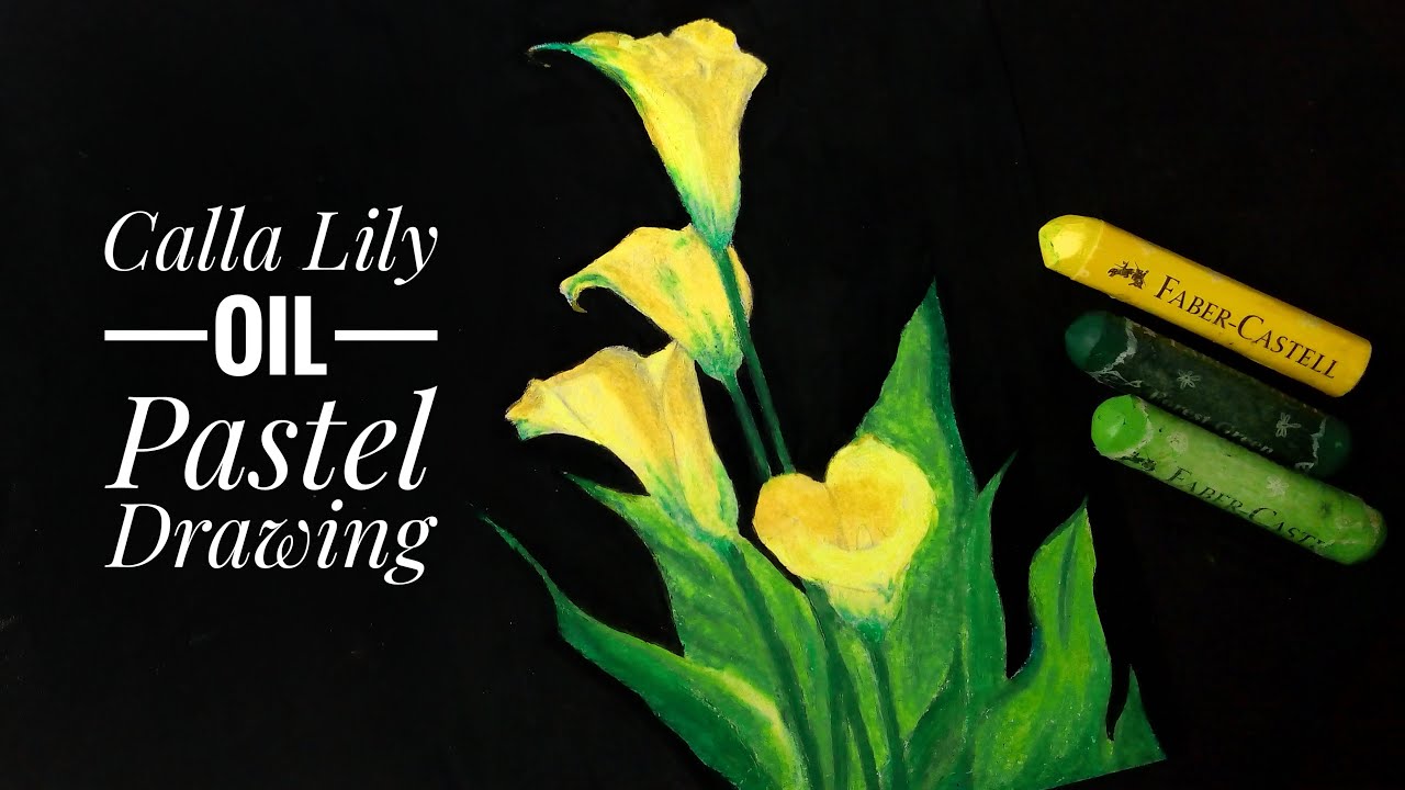 How to Draw Calla Lily with Oil Pastel Step by Step for beginners - YouTube