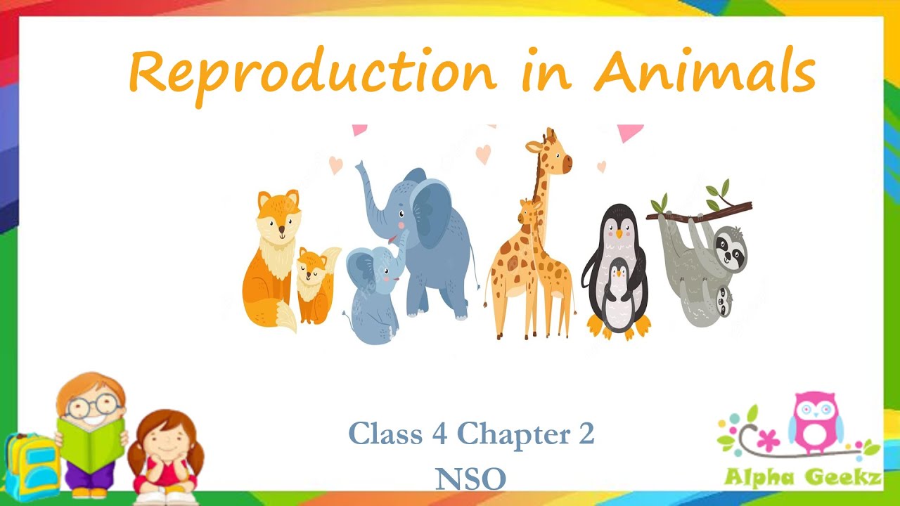 Reproduction in Animals - Module 2.6 (Chapter 2 - Olympiad Class 4 ...