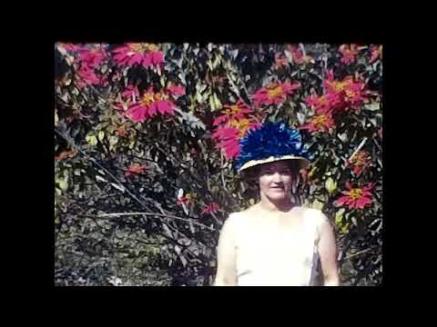 Elton John - Jamaica Jerk-Off