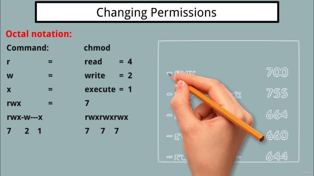 19 Changing file permissions - YouTube