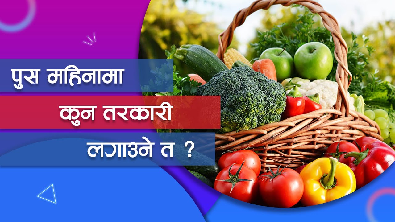 पुष महिनामा कुन कुन तरकारी लगाउने त ? || Crop Calender of Poush ...