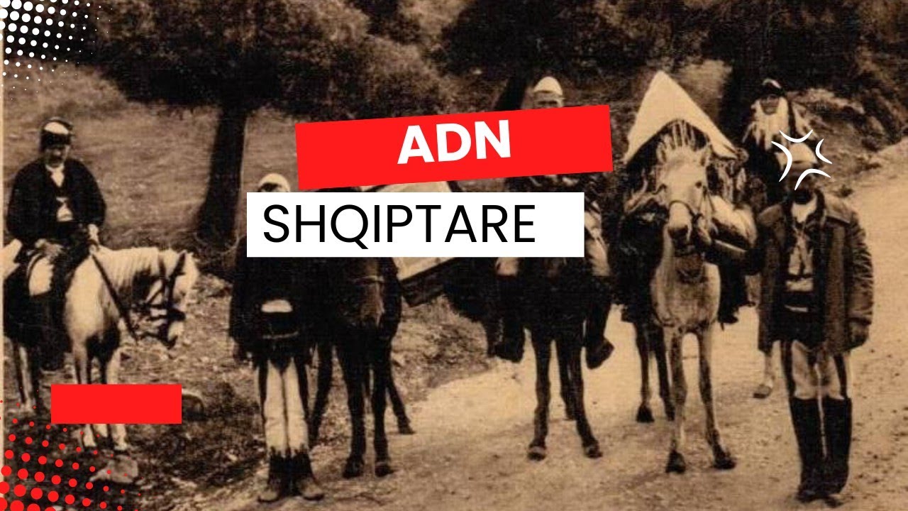 Analizohet ADN e shqiptarëve: Në Kosovë prejardhja ilire është 80%, në ...
