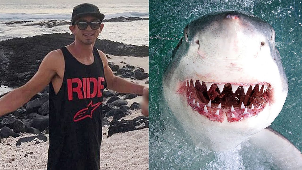 A 39-year-old surfer has died in Hawaii after being injured in a 'shark ...